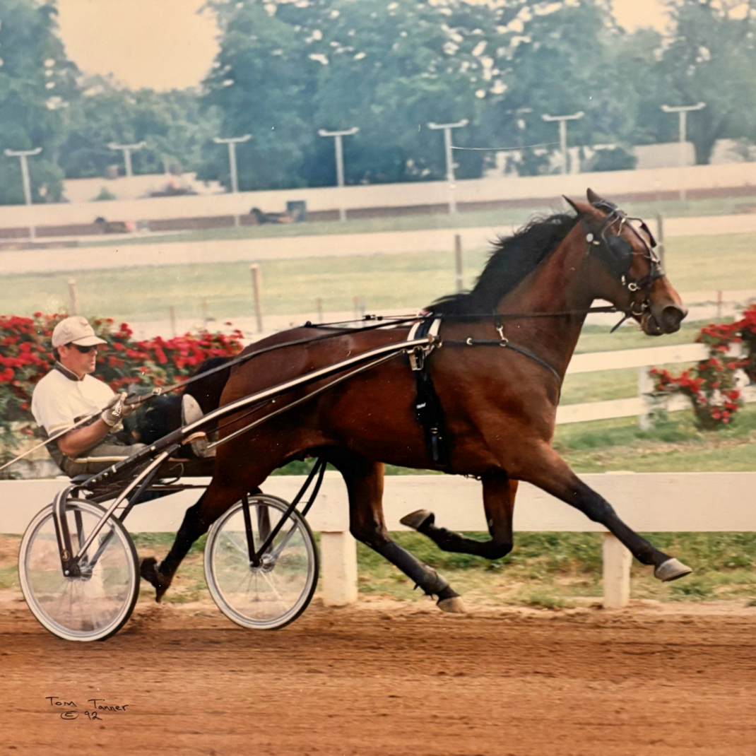 About Us – Multivet USA